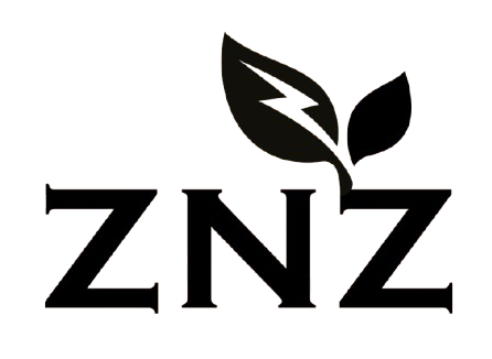 ZnZ - India's first Safe And Natural Libido Boosting Couple Chocolate – ZNZ